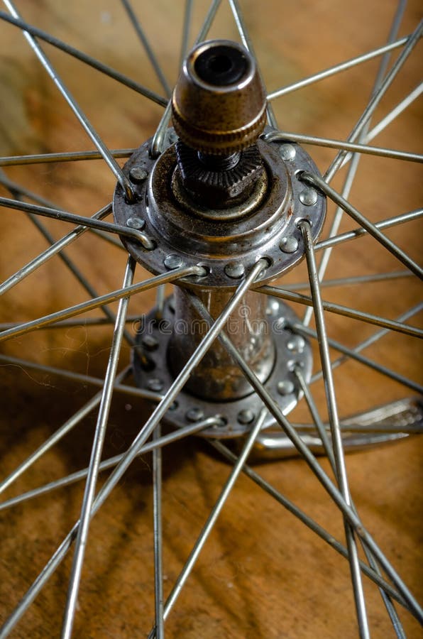 Bicycle Wheel Hub with Spokes and Quick Release Adjusting Nut Stock ...
