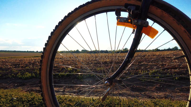 Bicycle Wheel in Motion in Nature. Close-up View of a Bicycle Wheel in ...