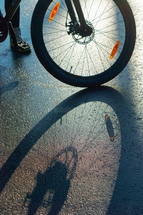 A Bicycle Wheel on the Pavement, Shadow of Bicycle on the Road Stock ...