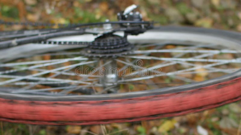 Bicycle Wheel Rotates Close-up Stock Footage - Video of adventure ...