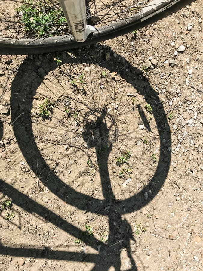 Bicycle wheel shadow editorial image. Image of sunny - 131760650