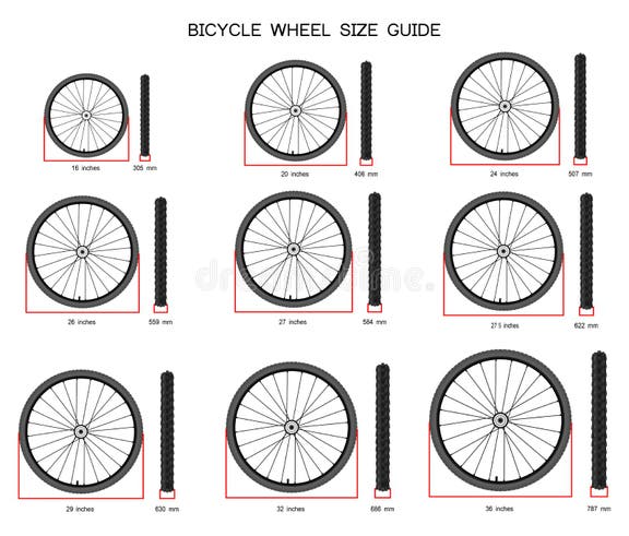 Bicycle Wheel Sizes Guide, Vector Illustration Stock Vector ...