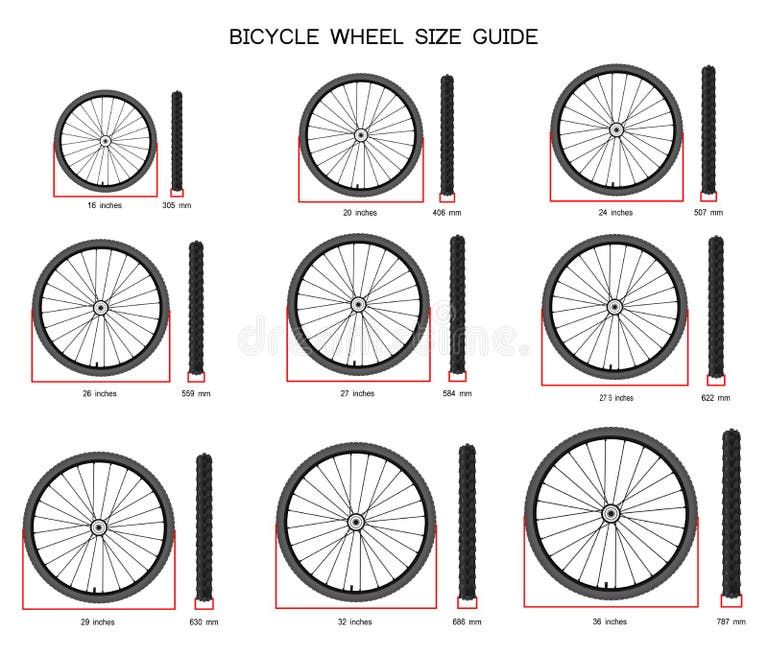 Bicycle Wheel Sizes Guide, Vector Illustration Stock Vector ...