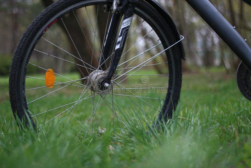 Bicycle Wheel in the Spring Grass Stock Image - Image of closeup ...