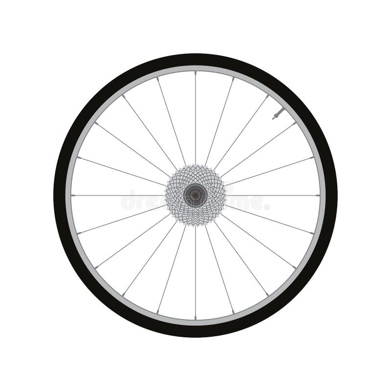 Vector Bicycle Wheels Of Different Diameter And Type Info Graphic Stock ...