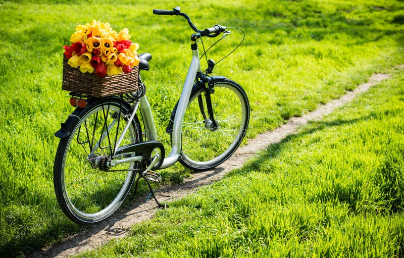 Bicycle with flowers stock photo. Image of green, decorated - 69921560