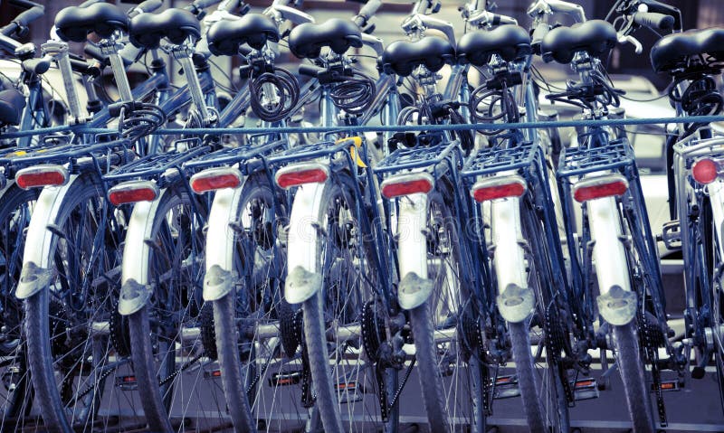 Bicycles Arranged in a Row Prepared for Transportation Stock Photo ...