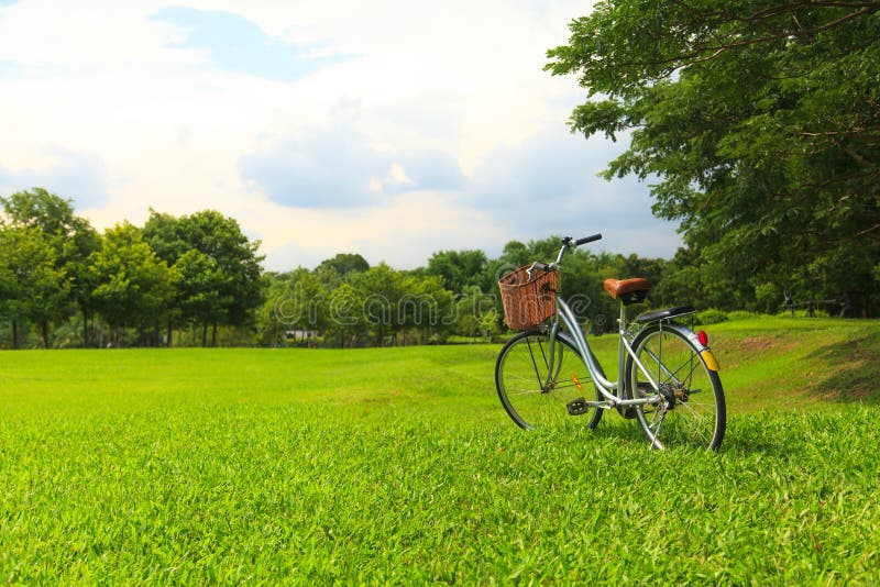 Bicycles in the park stock image. Image of grass, nature - 38869419