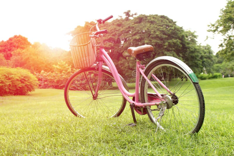 Bicycles in the park stock image. Image of land, healthy - 74601553