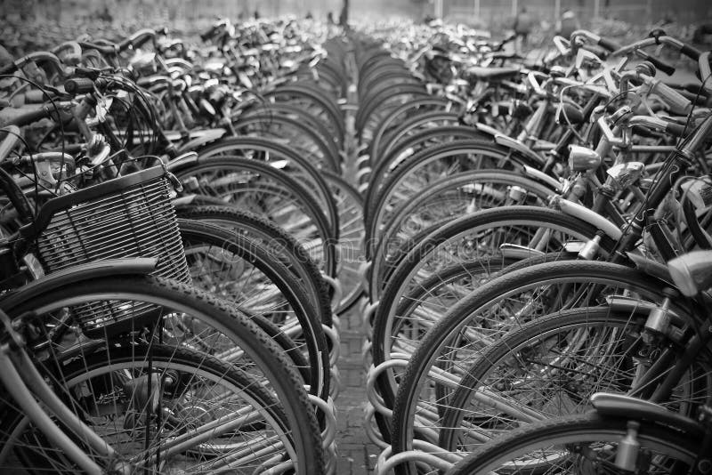 Bicycles parked in rows. stock photo. Image of bikes - 16870604