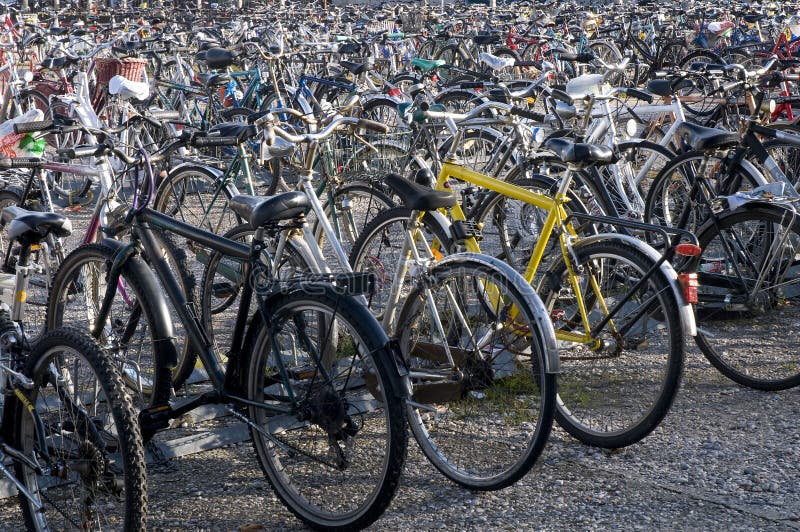 Bicycles editorial image. Image of biking, bicycles, leisure - 57552160