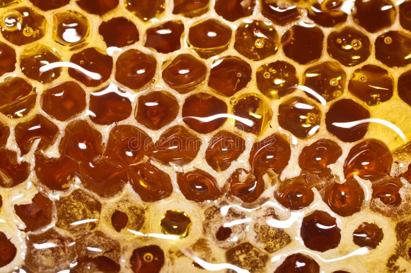 Bienenwabe Mit Honig in Der Nahaufnahme Stockfoto - Bild von haupt ...