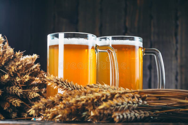 Bier stock foto. Image of sluit, gouden, brouwerij, viering - 100581540