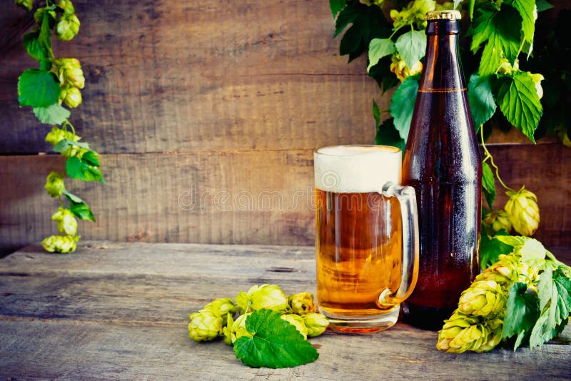 Bier en Hop stock foto. Image of houten, tarwe, lagerbier - 100584266