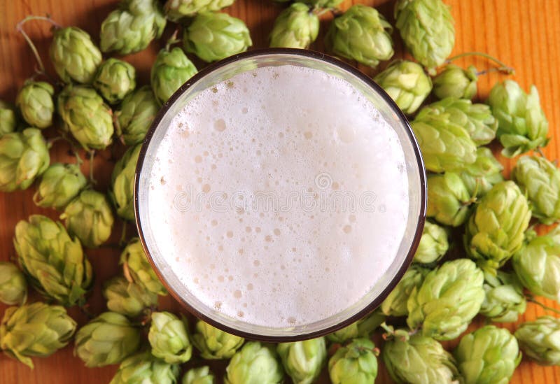 Bier en hop stock foto. Image of schuim, decoratie, vers - 19821486