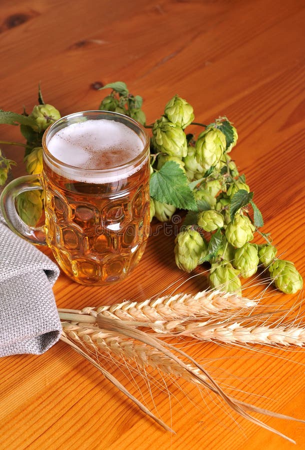 Glas Bier, Takken Van Hop, Gerst En Tarwearen Stock Afbeelding - Image ...