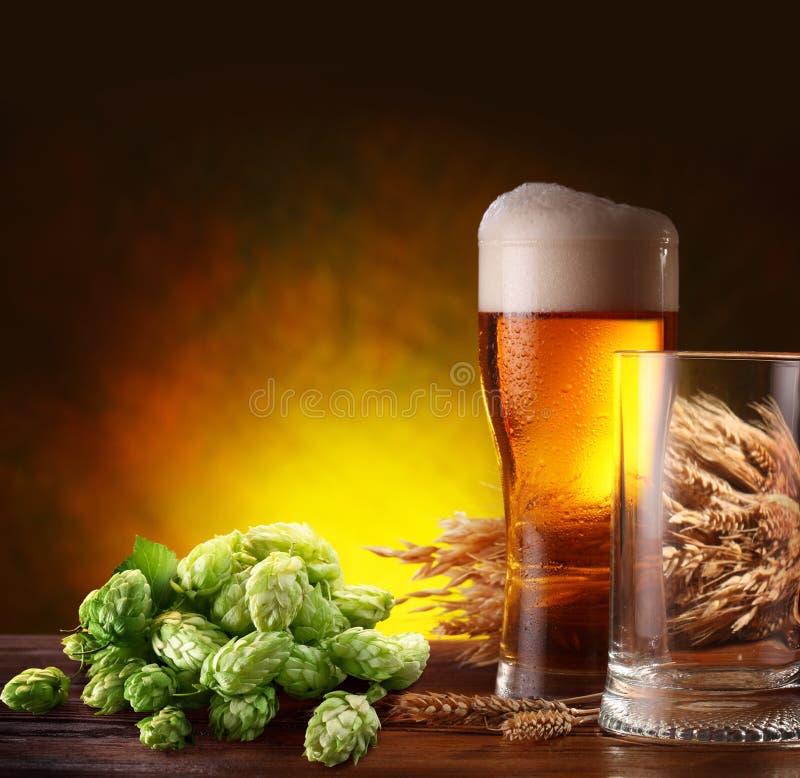 Bier en hop. stock foto. Image of licht, dalingen, bier - 25155346