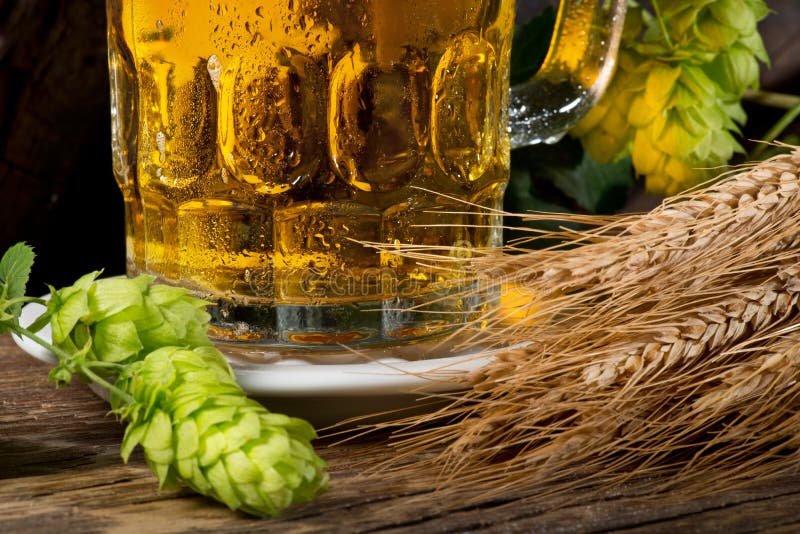 Bier mit Hopfen und Gerste stockfoto. Bild von lager - 37927190