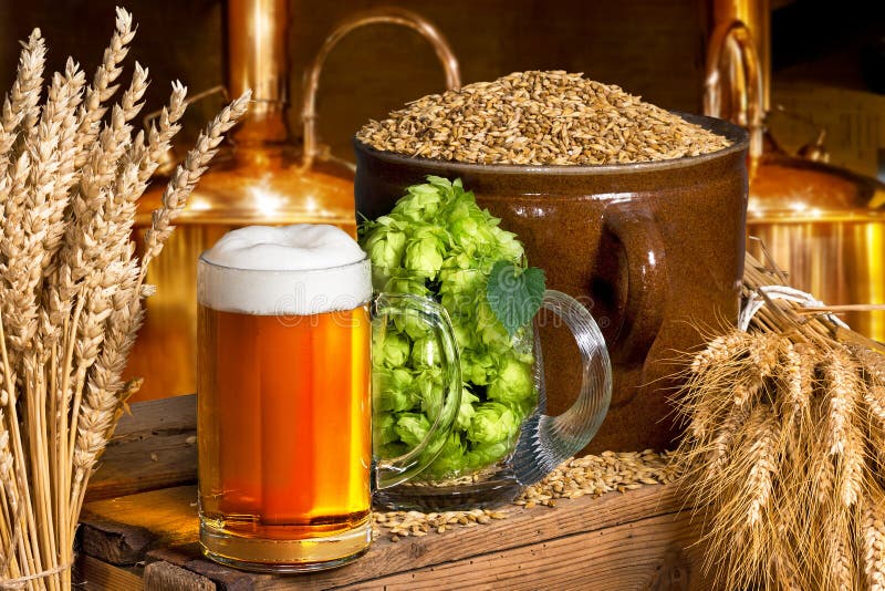 Bier-Glas Mit Hopfen Und Gerste Stockfoto - Bild von herstellung, liter ...