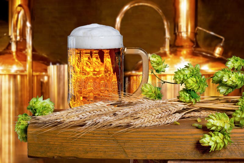 Bier-Glas Mit Hopfen Und Gerste Stockfoto - Bild von bitter, getränk ...