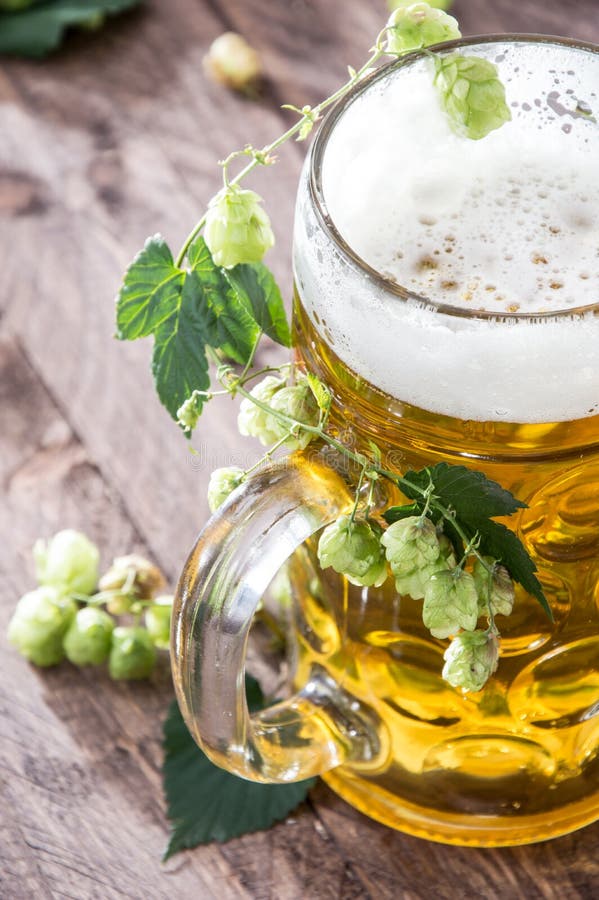 Bier mit Hopfen stockbild. Bild von hopfen, grün, bier - 28617409