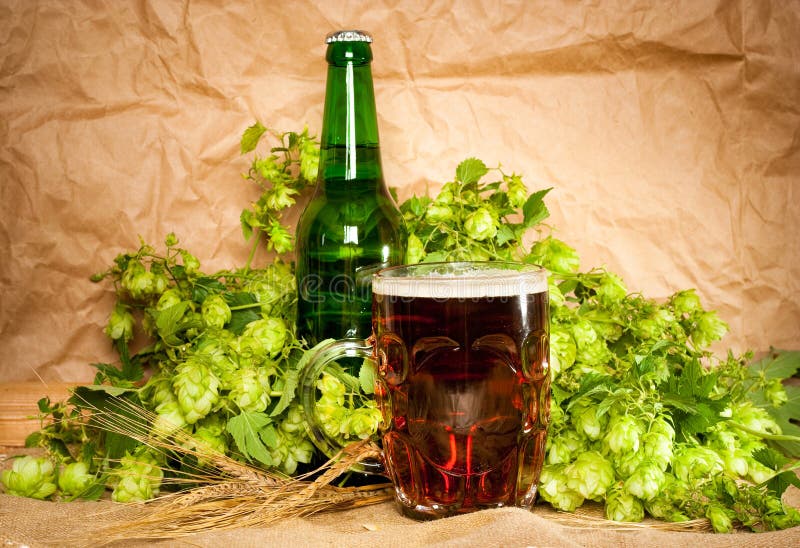 Bier mit Hopfen und Weizen stockbild. Bild von alkohol - 16052859