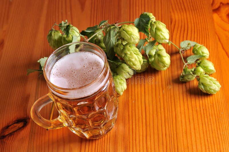 Bier und Hopfen stockfoto. Bild von nahrung, drapierung - 19821486