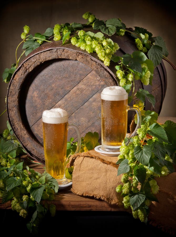 Bier und Hopfen stockfoto. Bild von brauen, alkohol, blätter - 38947616