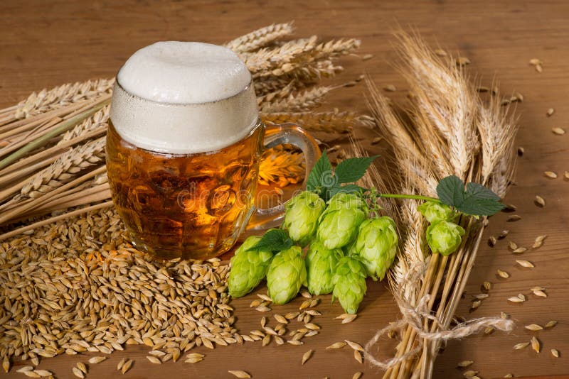 Bier-Glas Mit Hopfen Und Gerste Stockfoto - Bild von herstellung, liter ...