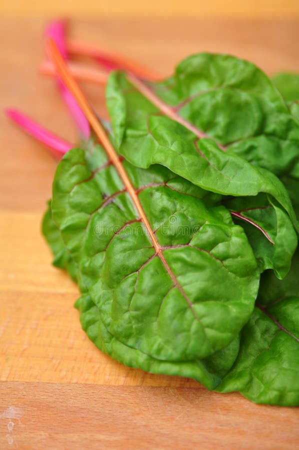 Bietola svizzera fotografia stock. Immagine di permesso - 31137424