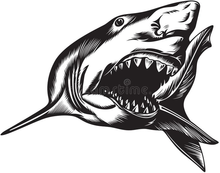 Wild Aggressive Wildlife Photography Stock Illustrations – 51,293 Wild ...