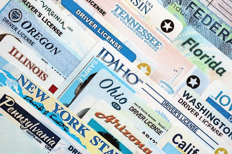 113 Fake Driver License Roblox Stock Photos - Free & Royalty-Free Stock ...