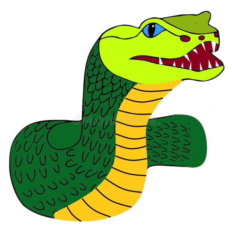 Anaconda Drawing Stock Illustrations – 2,000 Anaconda Drawing Stock ...