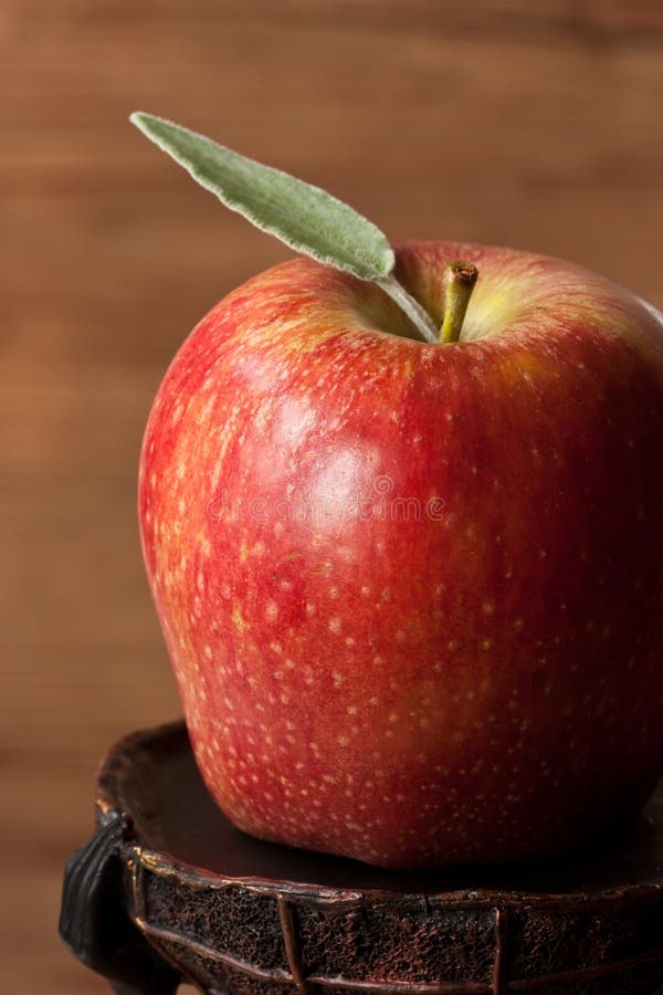 Big apple. stock image. Image of apple, sweet, diet, fruit - 18709713