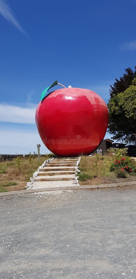 A big apple in the field editorial photo. Image of plant - 218733801