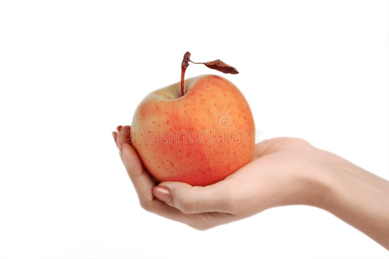 Big Apple In Hand Picture. Image: 7817123