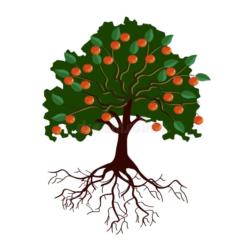 Cartoon Tree With Roots