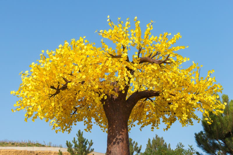 Big Autumn Tree with Yellow Leaves in the Park at the Blue Sky ...