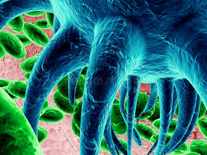 Germ stock illustration. Illustration of clip, design - 22645052