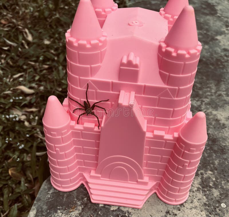 Big bad spider on a Castle stock photo. Image of spiders - 258671520