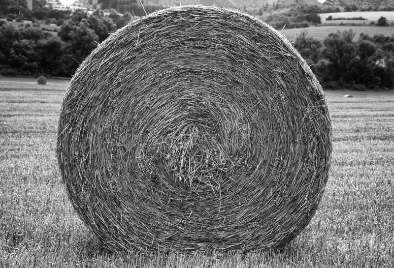 Big Bales of Hay on the Field after Harvest Stock Image - Image of ...