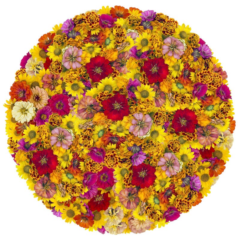 Big Ball from Summer Flowers Stock Photo - Image of isolated, flora ...