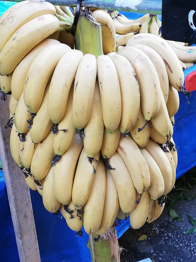 Big Bananas on a Stand at a Street Bazaar Stock Photo - Image of fruit ...