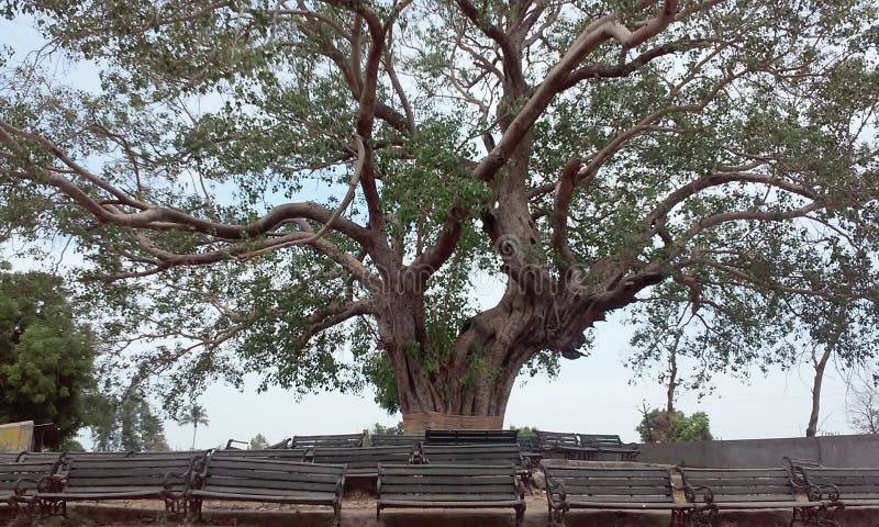 Rameshwar Mahadev Temple Stock Photos - Free & Royalty-Free Stock ...