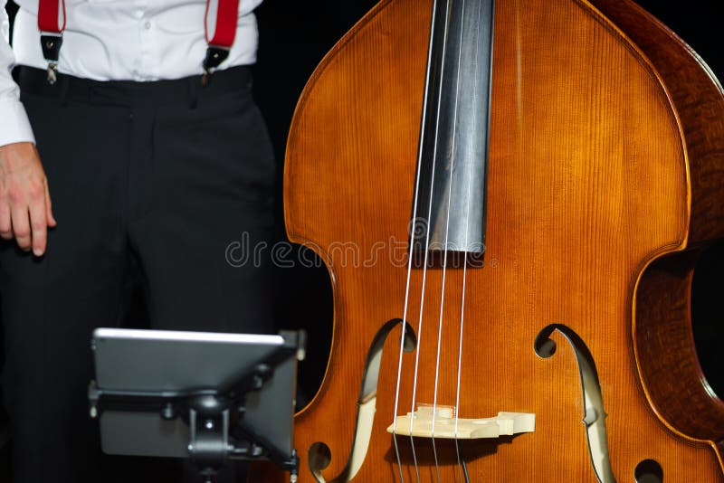 Big Bass Viol on the Scene before the Concert Stock Photo - Image of ...