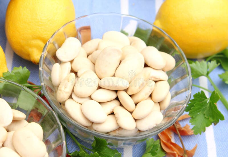Big Beans stock image. Image of beans, white, vegetables - 67653795