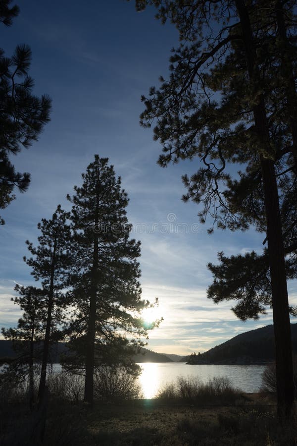 Big Bear at Sunset stock photo. Image of beauty, trees - 41490542