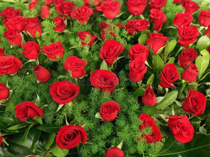 Big Bouquet of Flowers with Red Roses Stock Image - Image of colorful ...