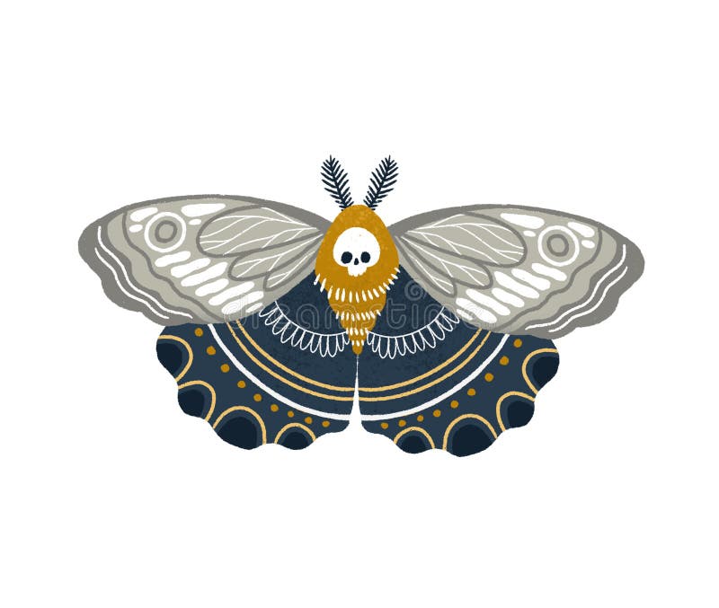 Big Beautiful Exotic Butterfly, Moth with Texture, Hand Drawing Stock ...