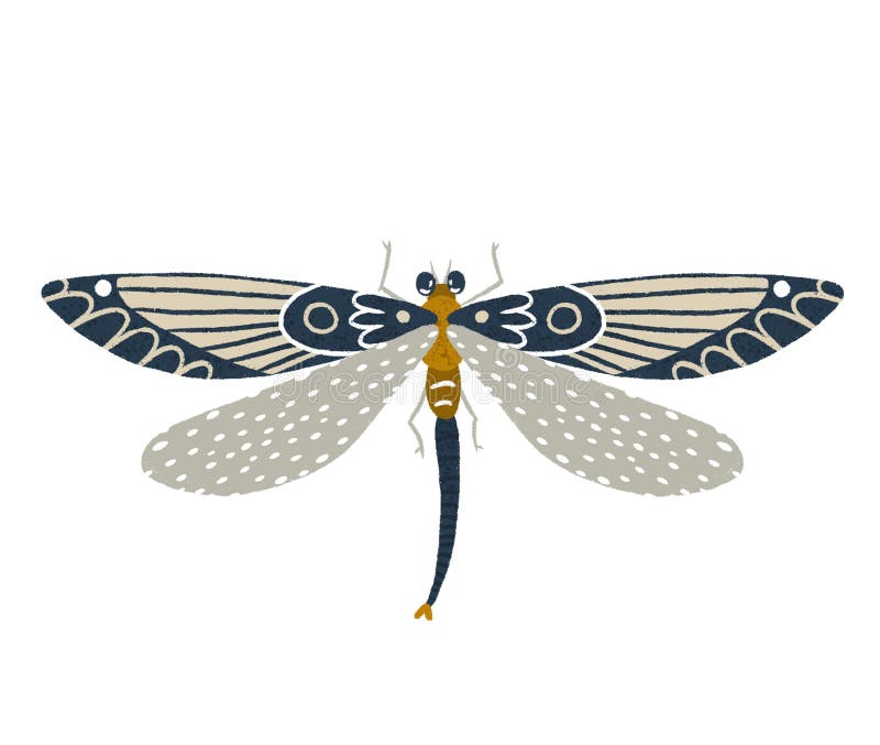 Big Beautiful Exotic Dragonfly with Texture, Hand Drawing Stock ...